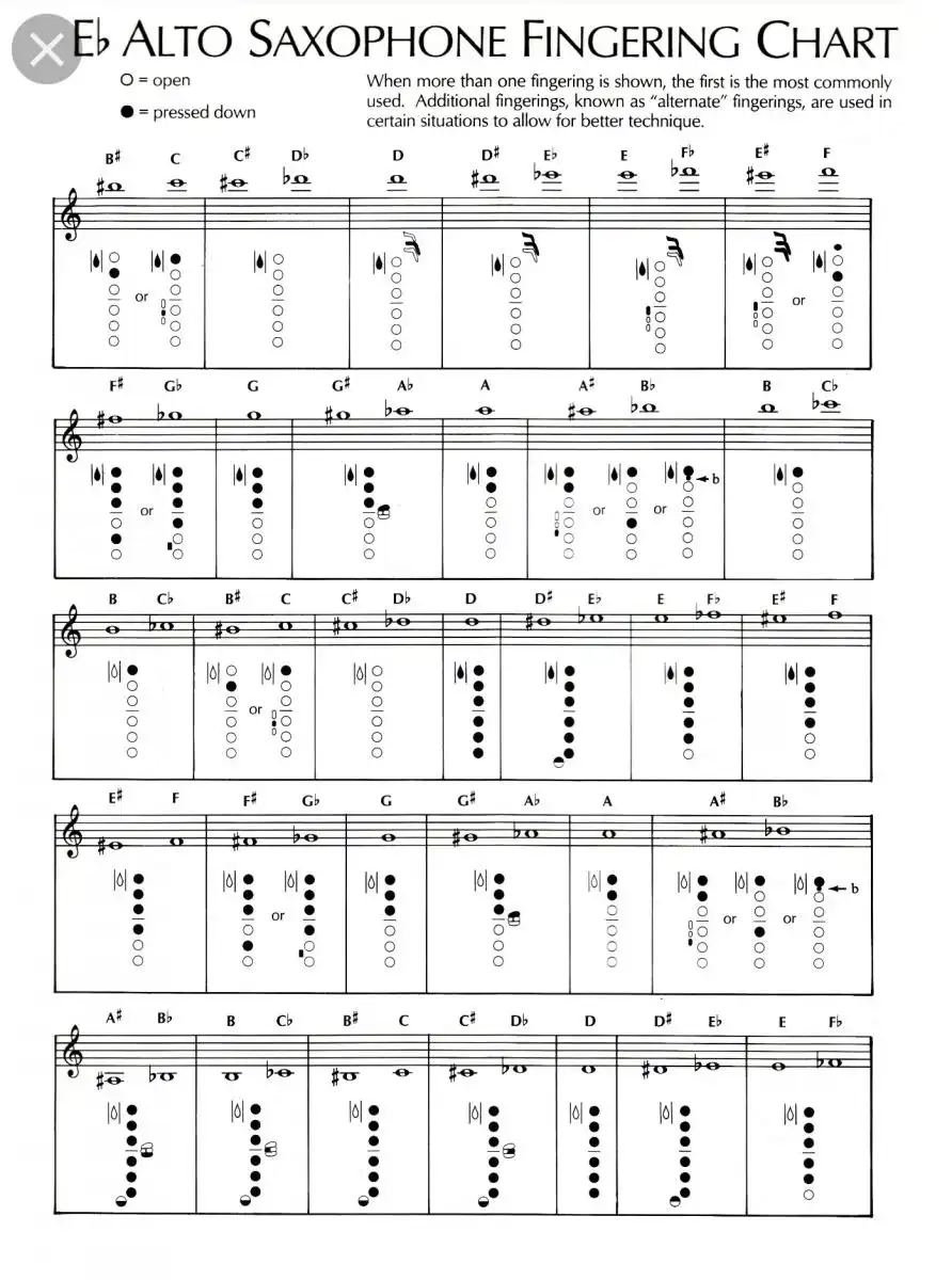 Playing the saxophone - Alto Sax Full Fingering Chart | CafeSaxophone Forum